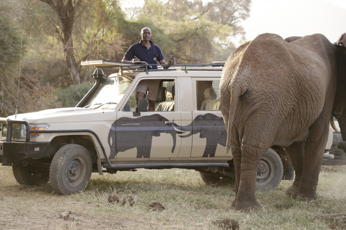 UT researcher fights to save elephants - U-Today