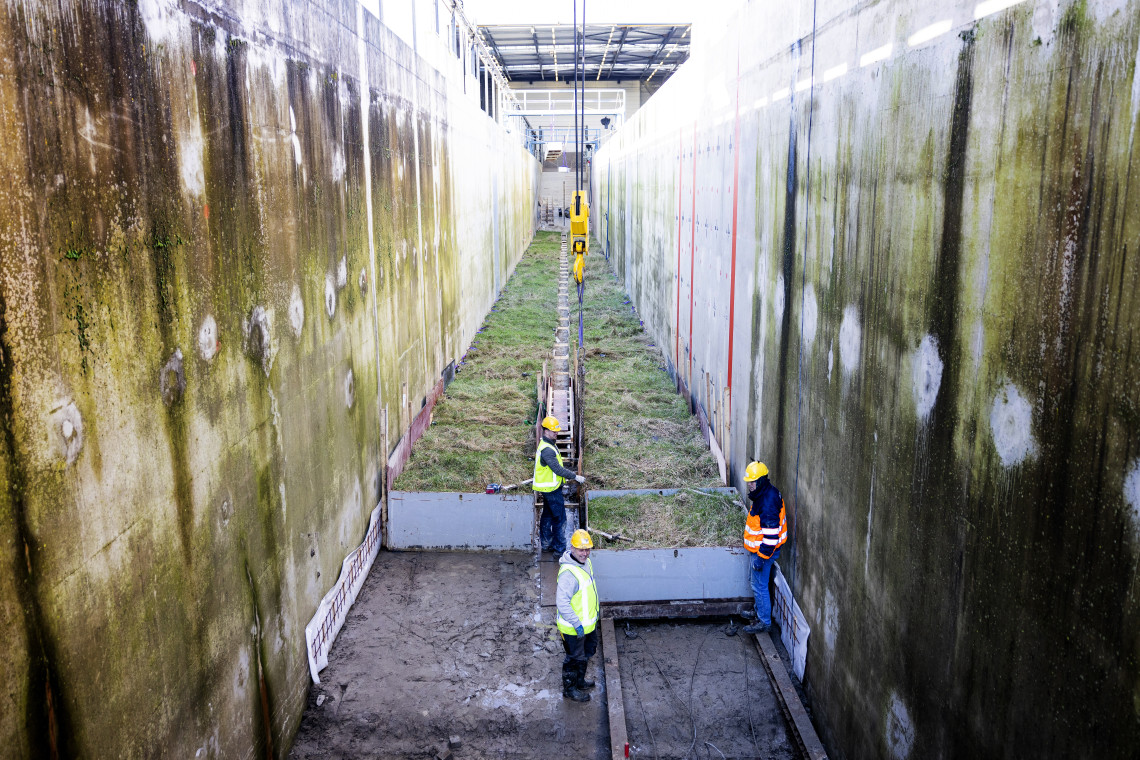 UT scientists test living dikes in ‘the first experiment of its kind ...