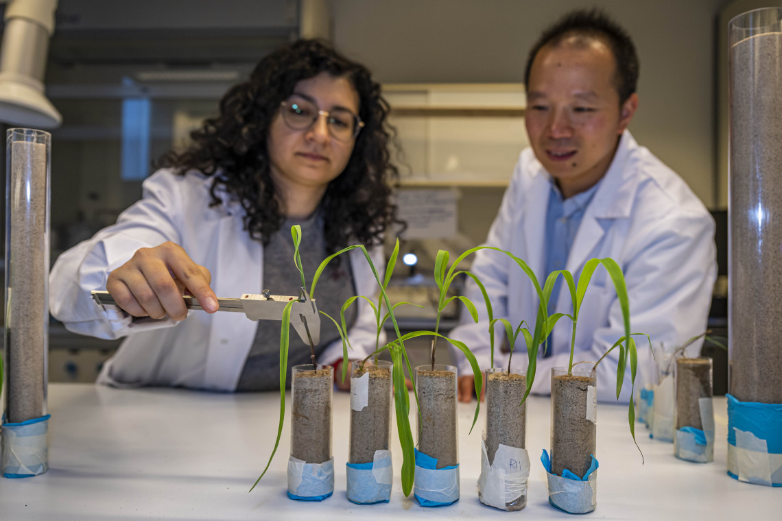 Predicting vegetation health - U-Today