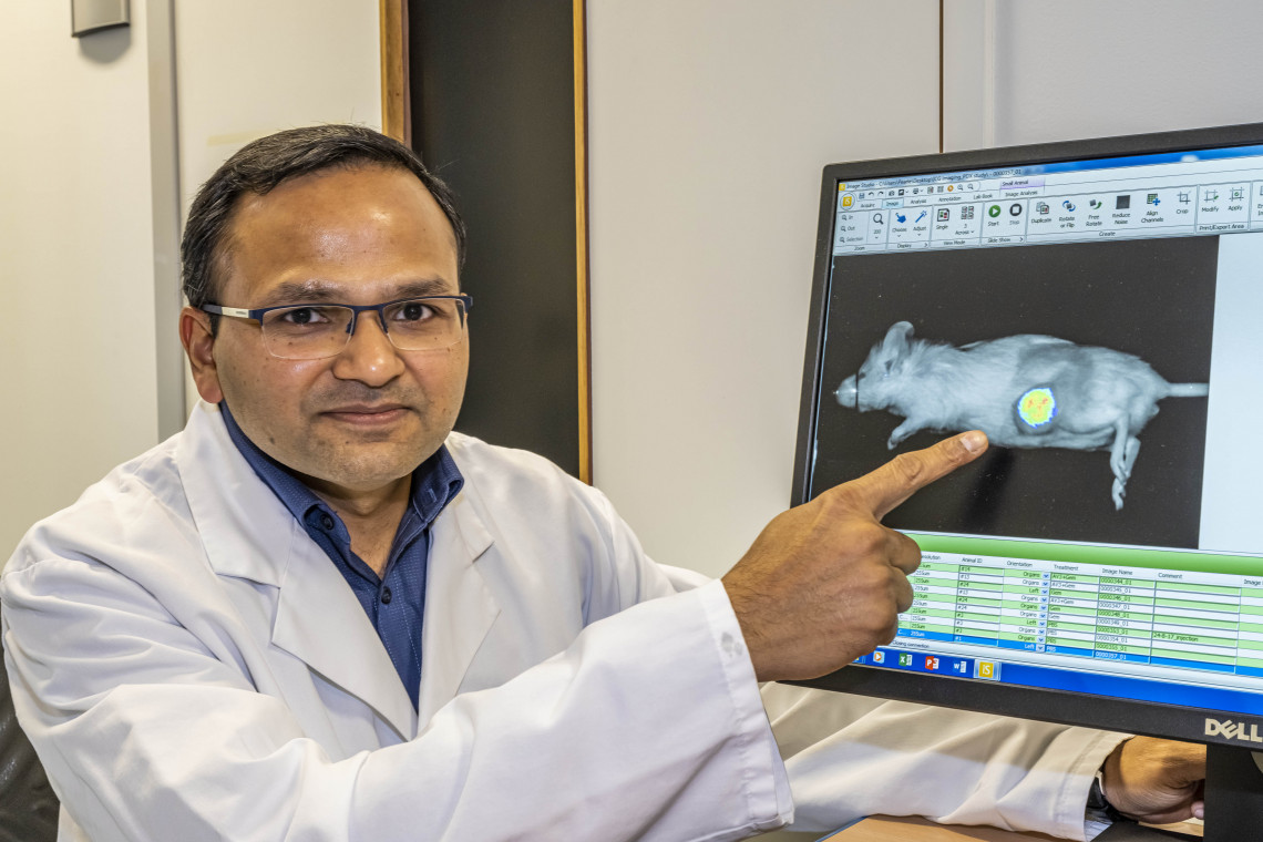 Training immune cells to kill tumor cells - U-Today