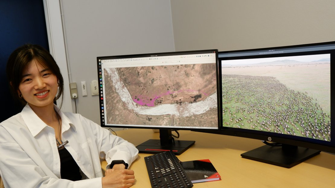 ITC alumnus Zijing Wu located wildebeest and zebras in the Serengeti ...