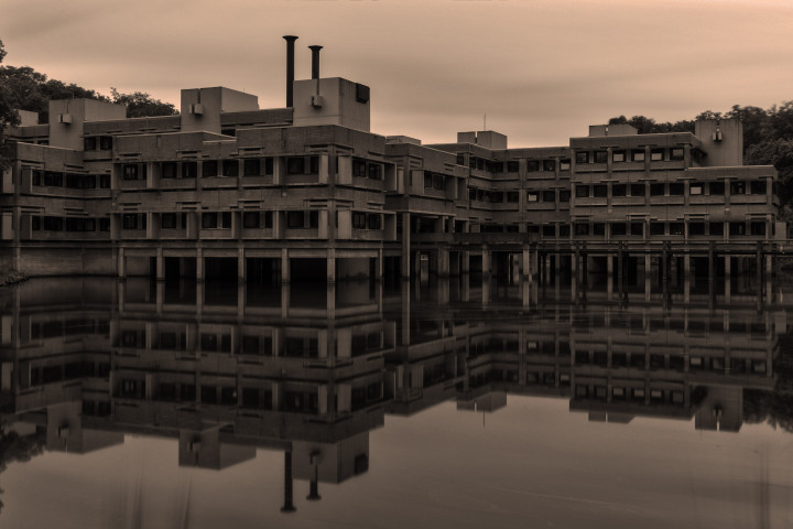 Seven tips on how to survive the Cubicus - U-Today