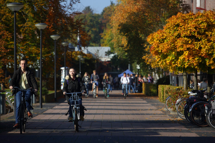 Lack of commitment and invisible help structure - U-Today