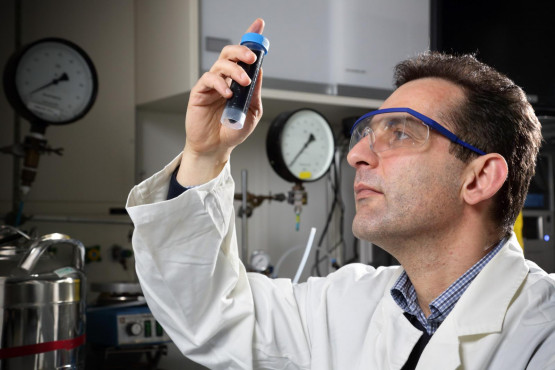 (Bio)artificial organs: The future of medicine? - U-Today