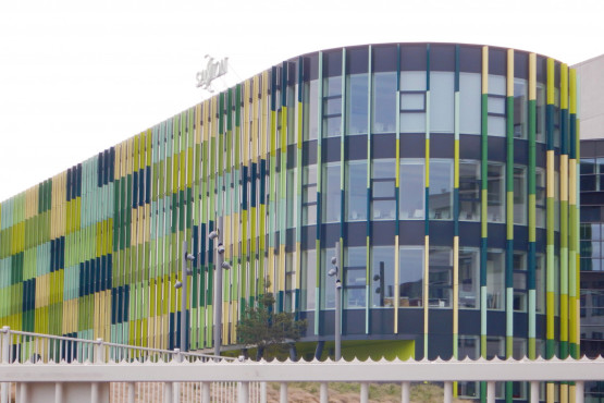 Saxion zet BBB-kandidaat de deur uit om haattweets - U-Today