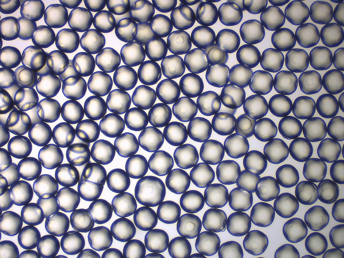 Microparticles in all shapes and sizes - U-Today