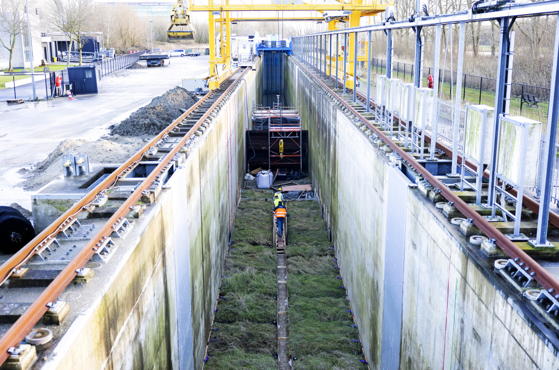 UT scientists test living dikes in ‘the first experiment of its kind ...
