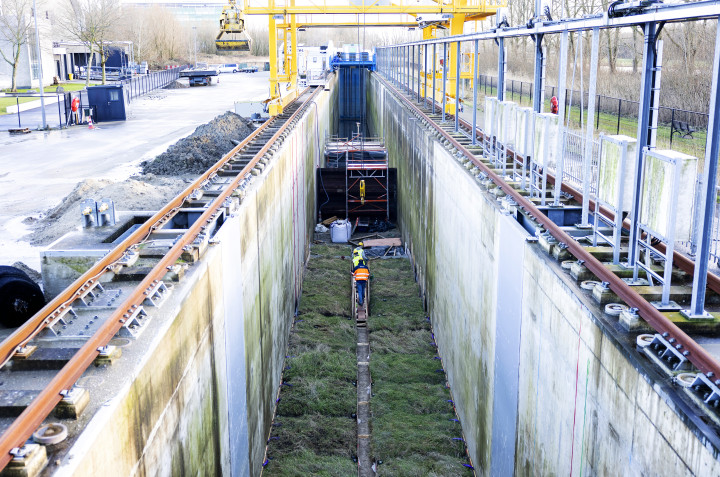 UT scientists test living dikes in ‘the first experiment of its kind ...
