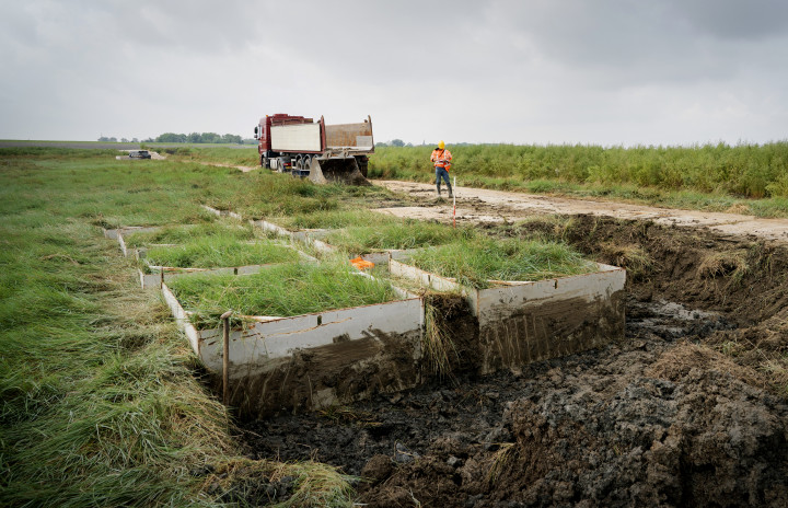 UT scientists test living dikes in ‘the first experiment of its kind ...